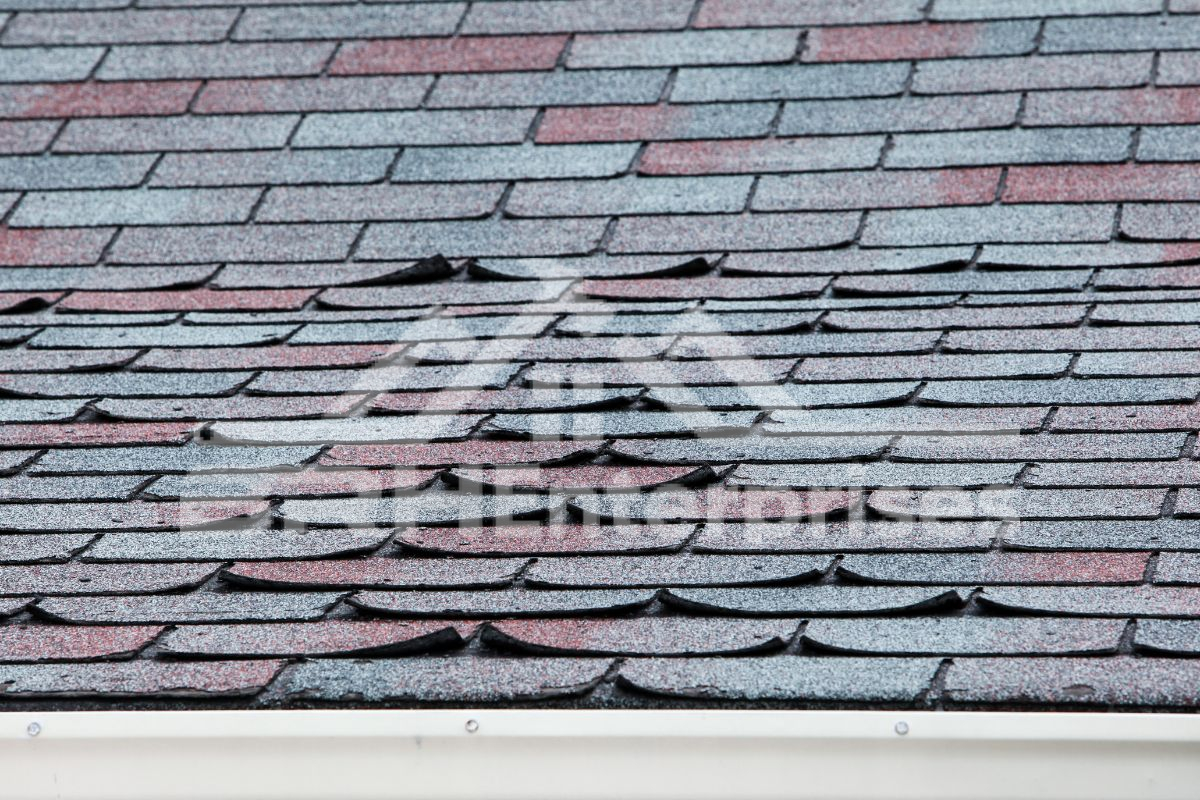 How to Spot Roof Problems Early (Homeowner’s Edition)