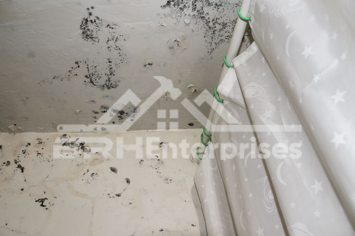 7 Signs You Have Clogged Gutters (With Quick Fixes)