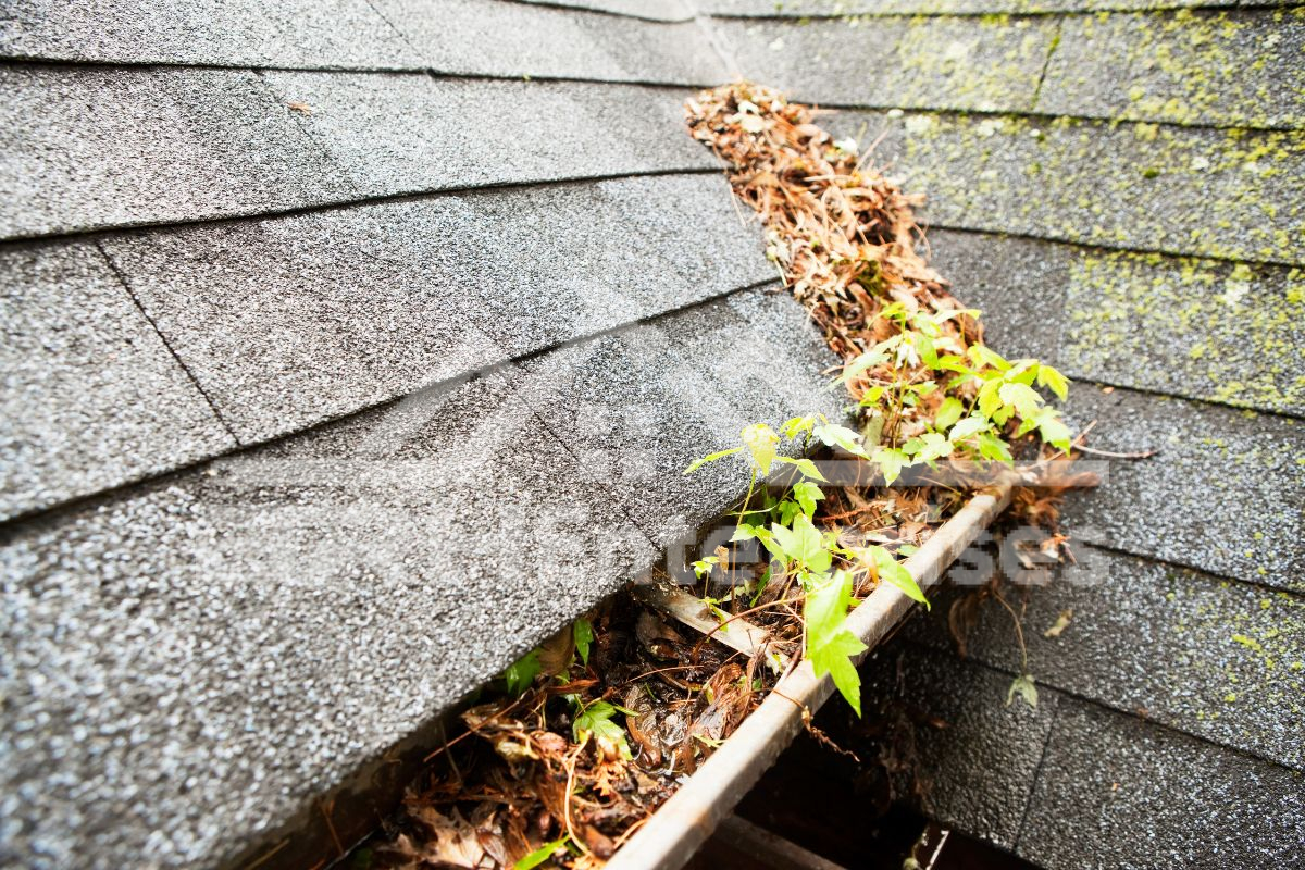 7 Signs You Have Clogged Gutters (With Quick Fixes)